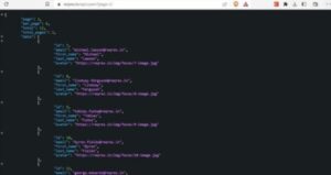 Cómo ABRIR ARCHIVOS JSON en WINDOWS y MAC - Guía RÁPIDA